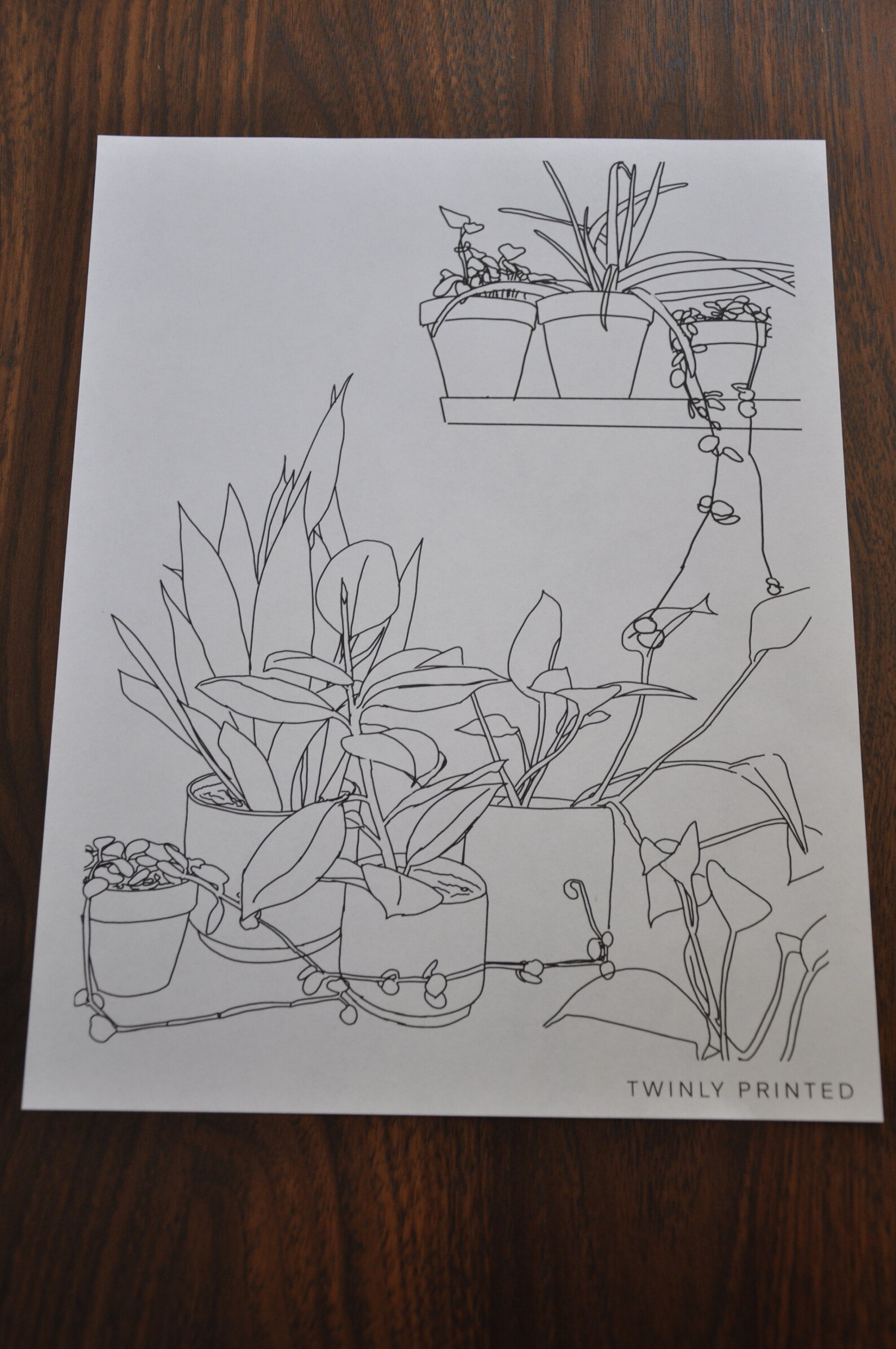 Printable Plant Shelf Coloring Page - Etsy