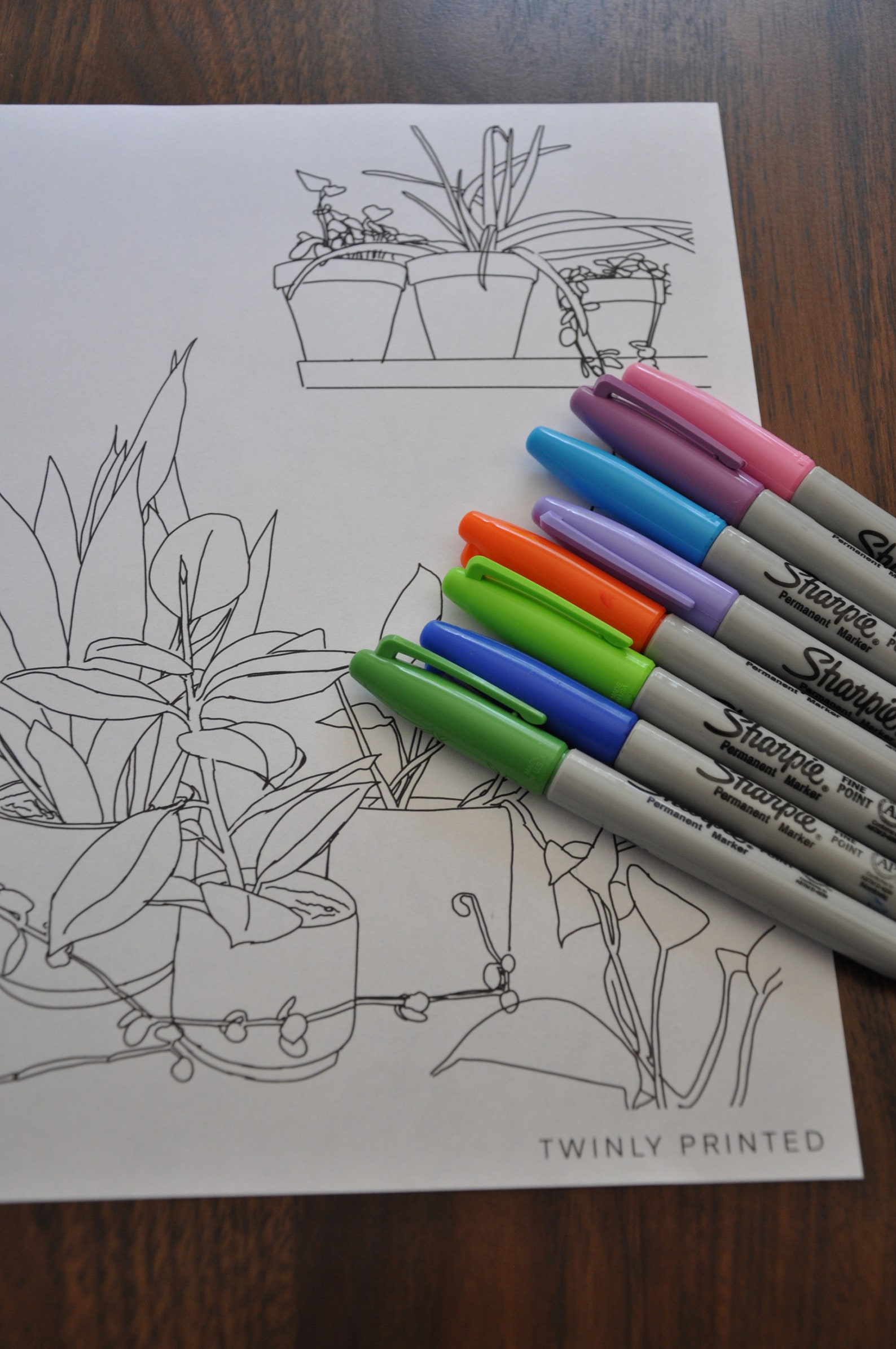 Printable Plant Shelf Coloring Page - Etsy