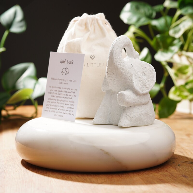 Elephant Gifts - 60+ Gift Ideas for 2025