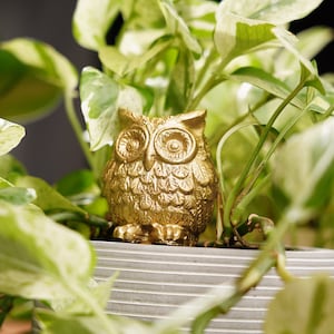 Gold Concrete Lucky Owl | Feng Shui | Owl for Wealth, Luck and ...