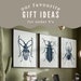 Toddler Beetle Nursery Prints Set 3 Baby Boys Room Wall Decor, Insect ...