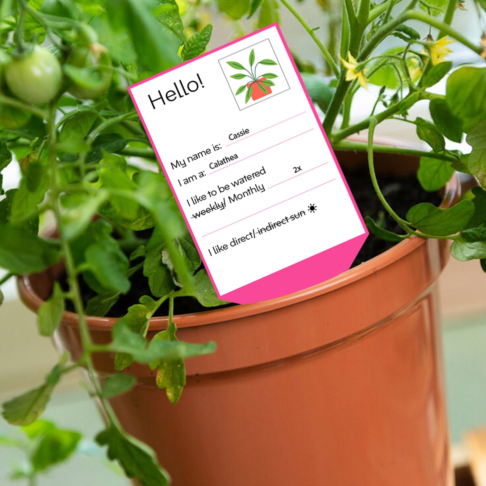 Etiquetas de planta imprimibles / etiquetas editables de la | Etsy