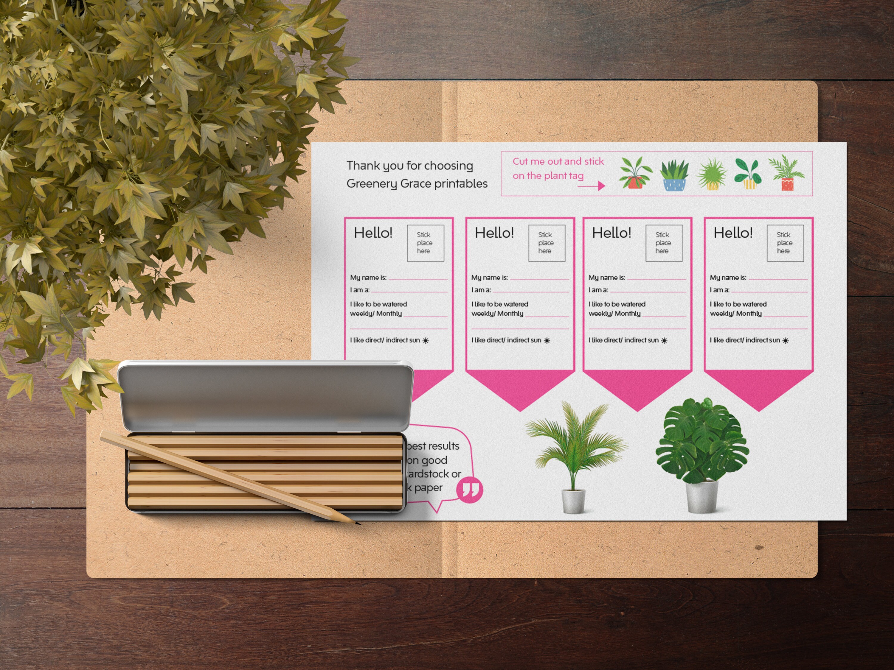 Etiquetas de planta imprimibles / etiquetas editables de la | Etsy