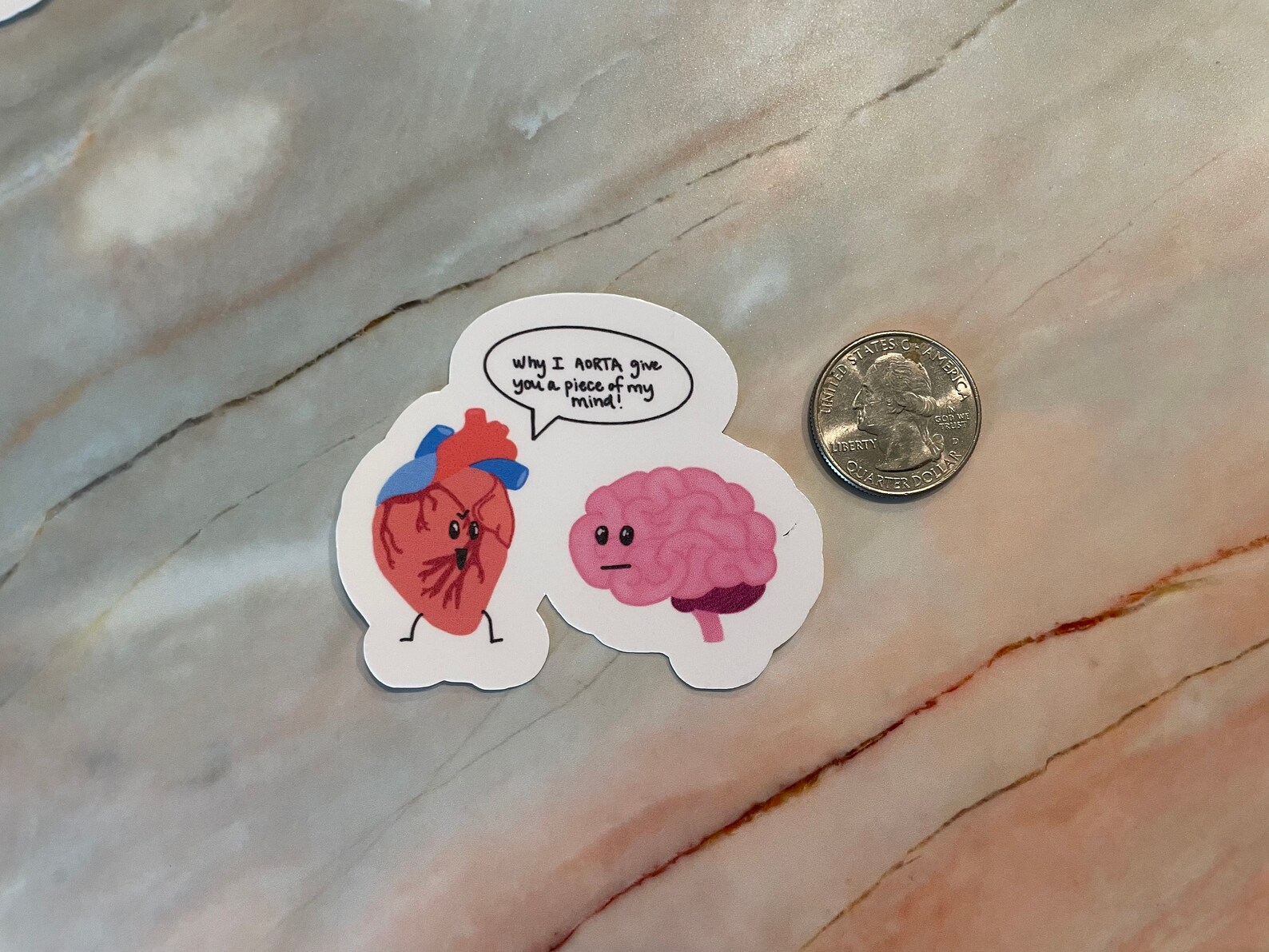Aorta Cartoon Sticker| Anatomy Sticker, Therapy, PT | Laptop and Water ...