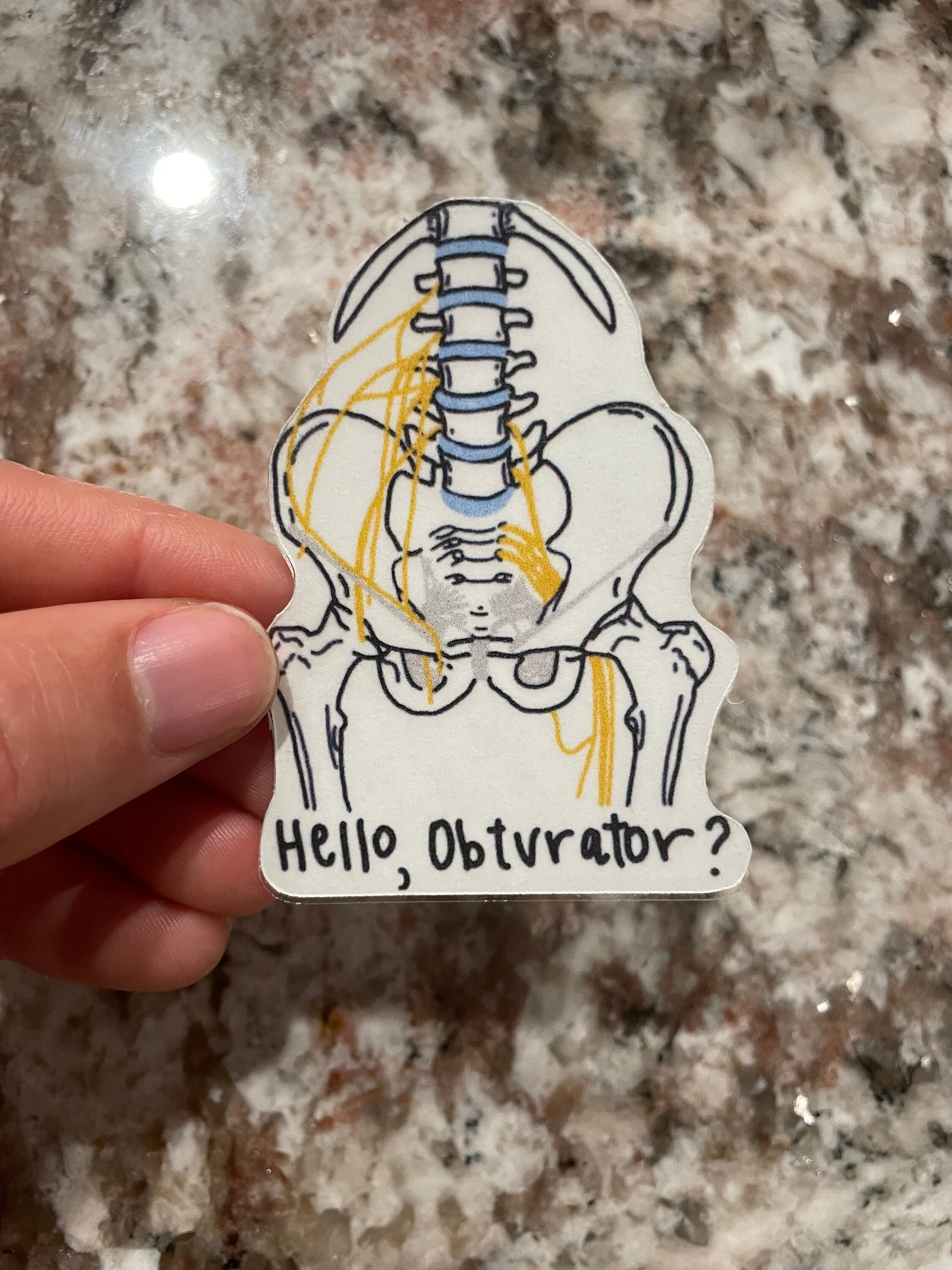 Hello Obturator Sticker Anatomy Sticker Therapy PT Laptop - Etsy
