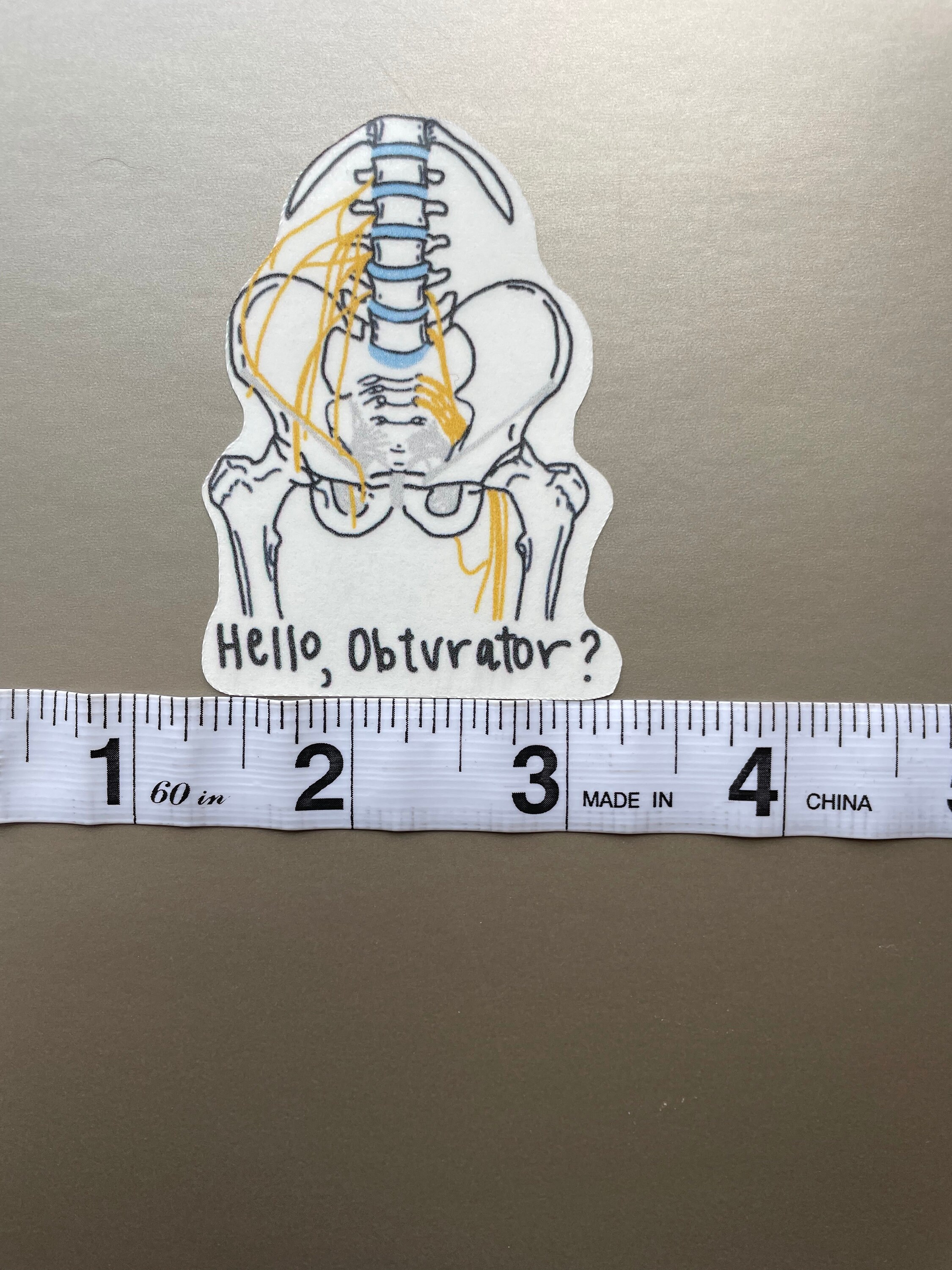 Hello Obturator Sticker| Anatomy Sticker, Therapy, PT | Laptop and ...