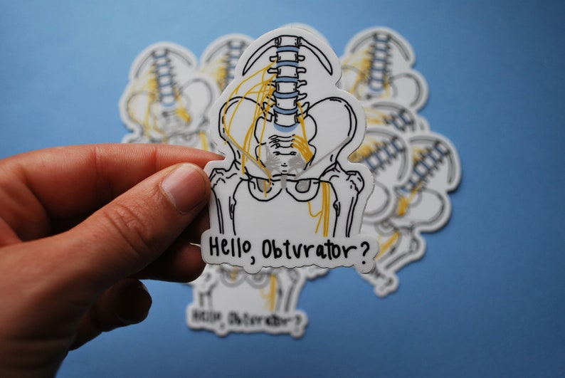 Hello Obturator Sticker| Anatomy Sticker, Therapy, PT | Laptop and ...