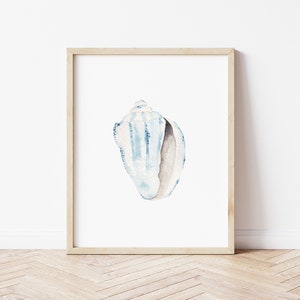 Blue Shell Wall Decor, Set of 3 Art Prints, Conch Shell, Starfish, Sand ...