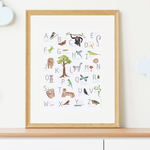 Rainforest Alphabet Poster, Hand-painted Print, Kids Room ABC Wall Art ...