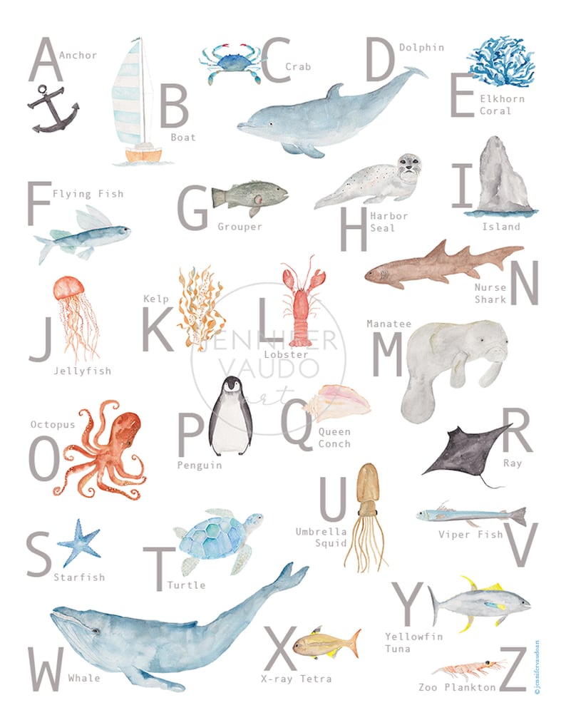 Under the Sea Alphabet Poster Gender Neutral Wall Art Kids - Etsy