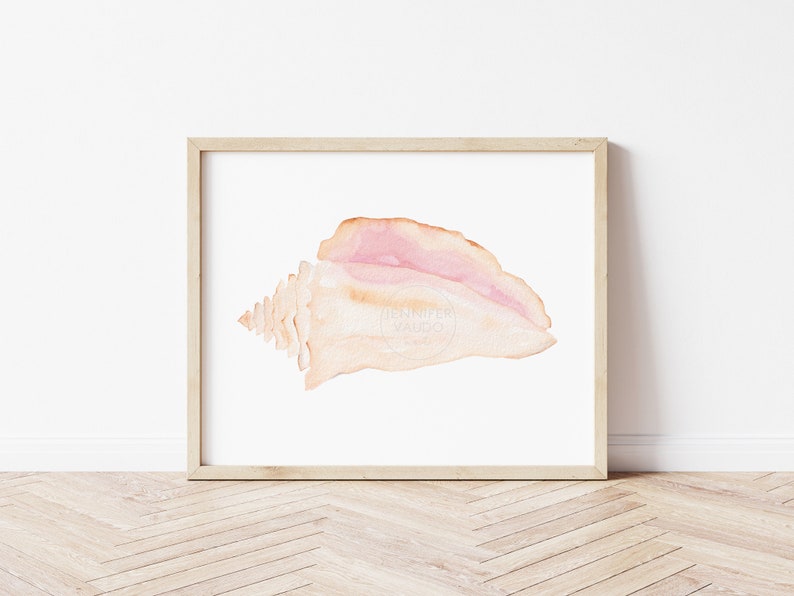 Conch Shell Wall Art Conch Shell Watercolor Art Print Shell - Etsy