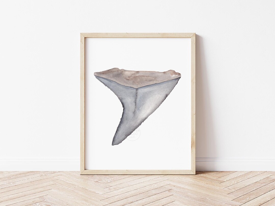 Shark Tooth Wall Art, Coastal Home Decor, Tropical Artwork, Nautical ...