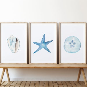 Blue Shell Wall Decor, Set of 3 Art Prints, Conch Shell, Starfish, Sand ...