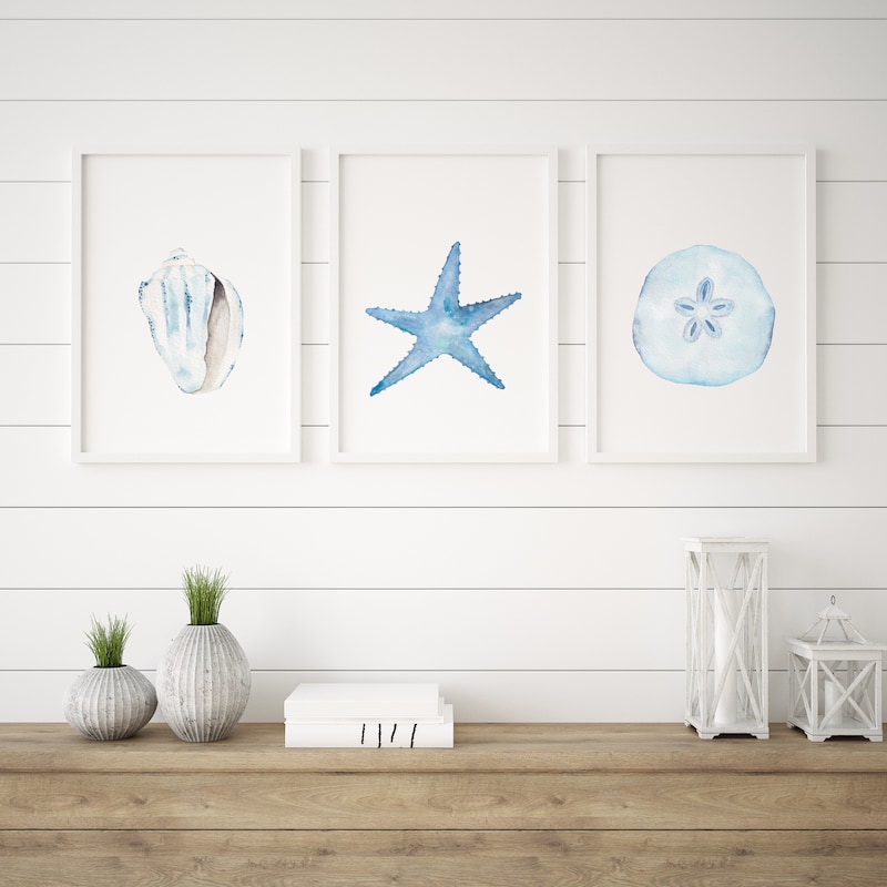 Shell Wall Decor - Etsy