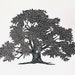 The Great Oak Original Linocut Block Print Oak Tree Art Black and White - Etsy