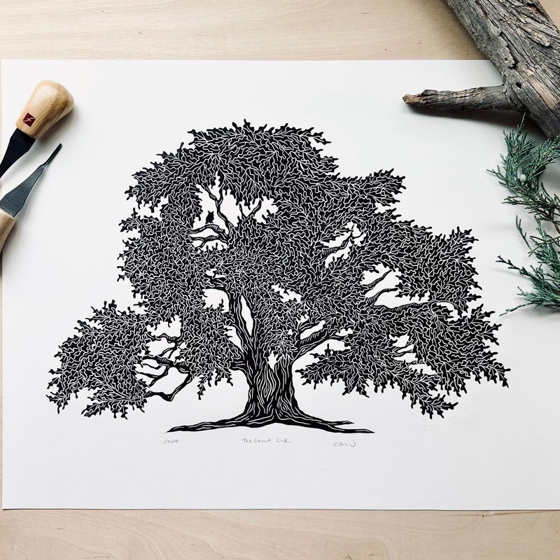 Oak Tree Art - Etsy