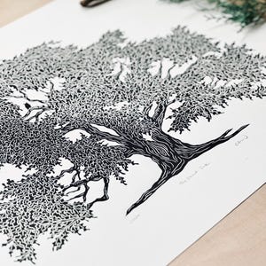 The Great Oak | Original Linocut Block Print | Oak Tree Art | Black and White - Etsy