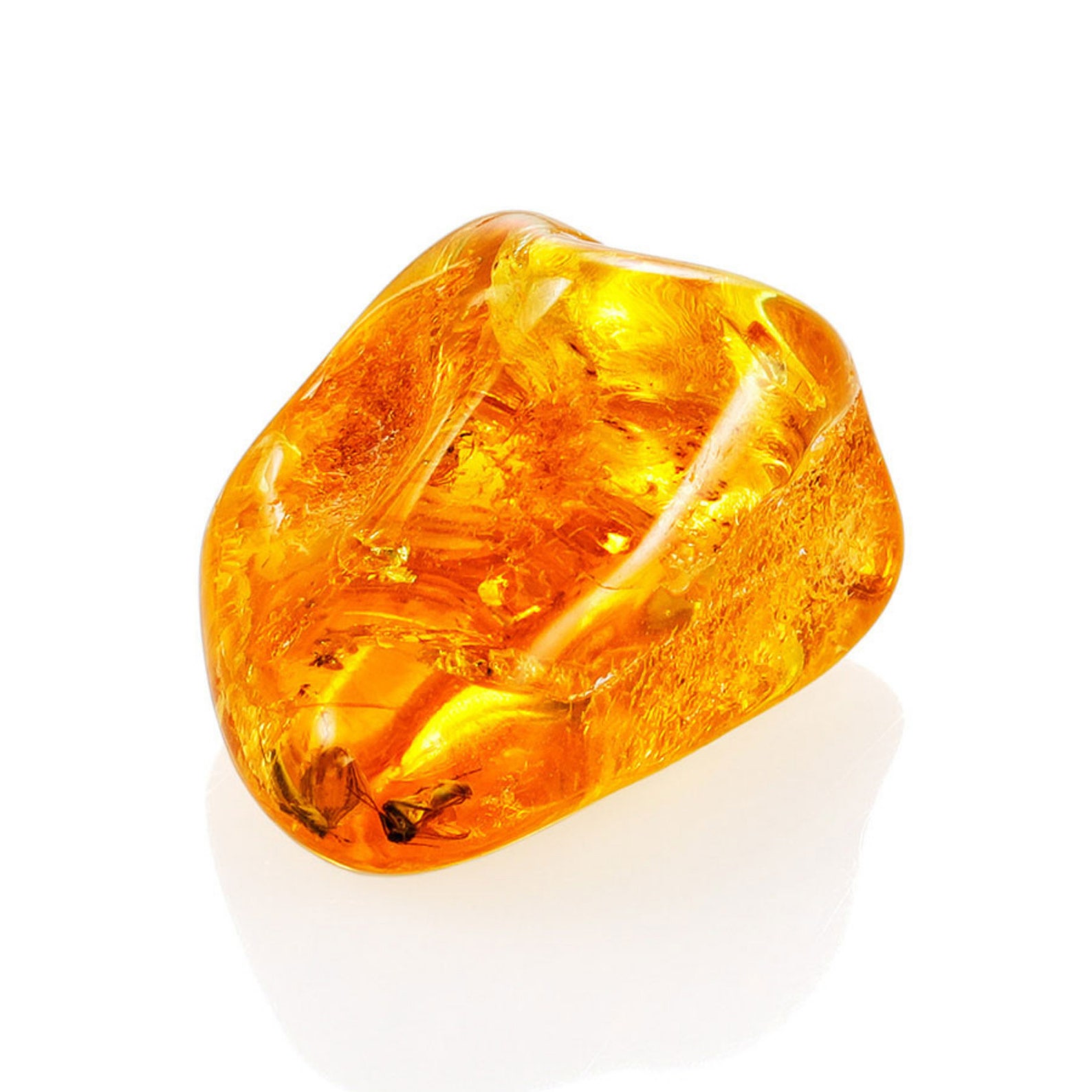 Amber with Inclusions Insect Genuine Natural Baltic Amber | Etsy