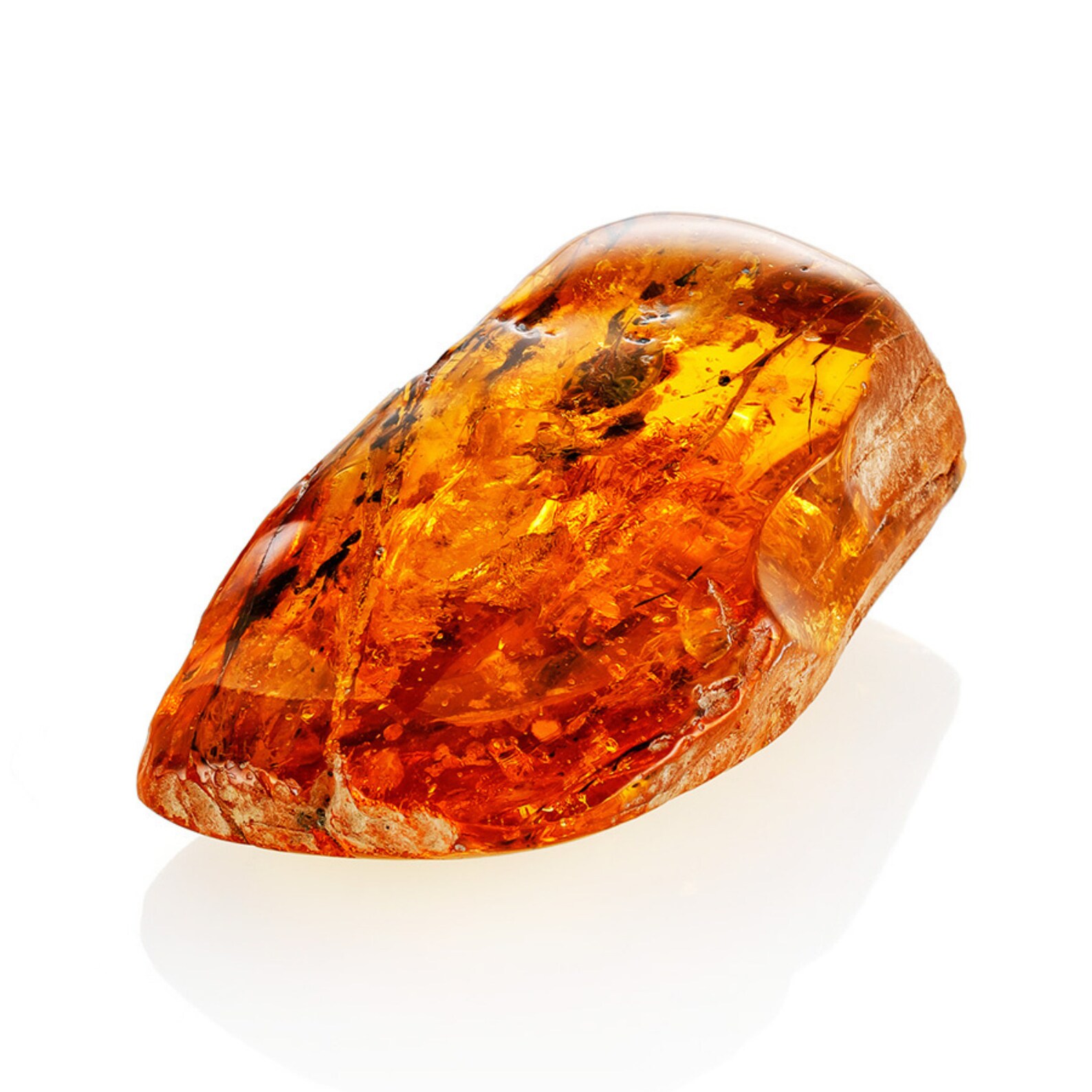 Amber with Inclusions Insect Genuine Natural Baltic Amber | Etsy