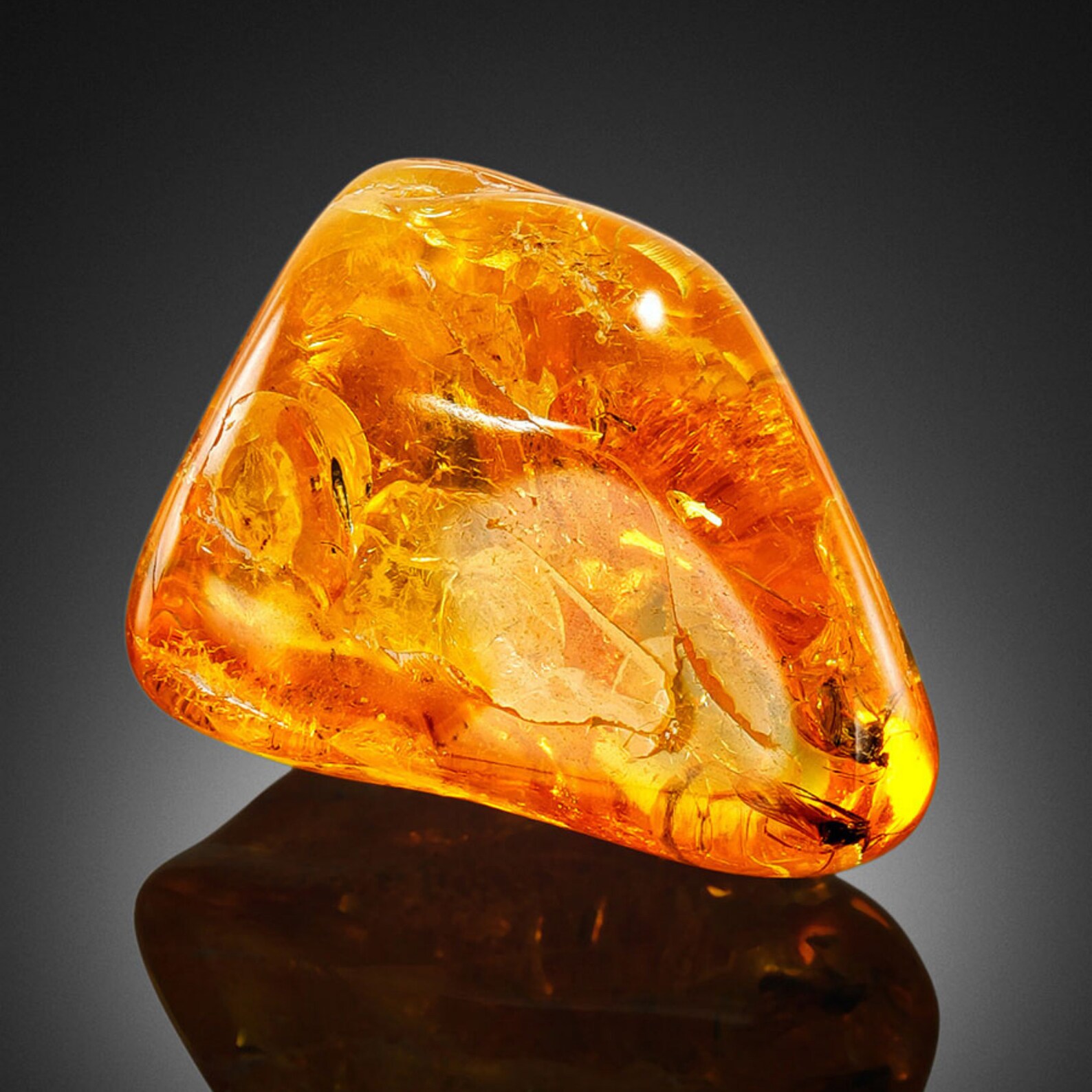 Amber with Inclusions Insect Genuine Natural Baltic Amber | Etsy