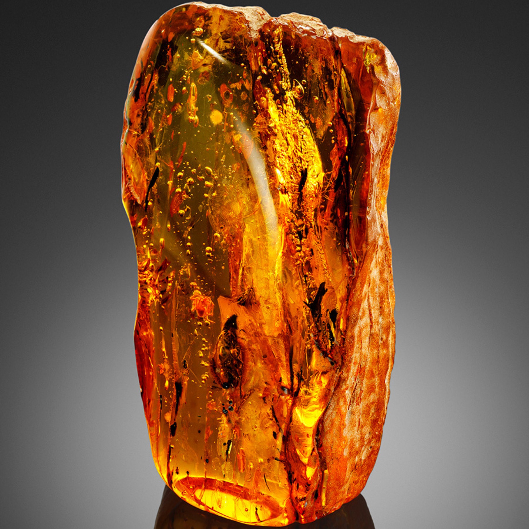 Amber with Inclusions Insect Genuine Natural Baltic Amber | Etsy