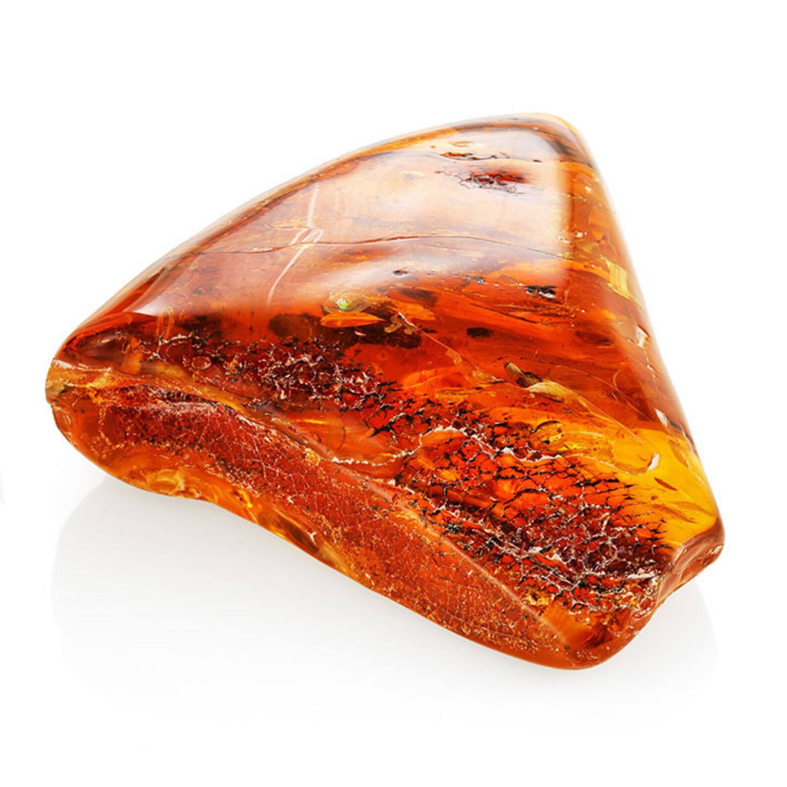 Amber with Inclusions Insect Genuine Natural Baltic Amber | Etsy