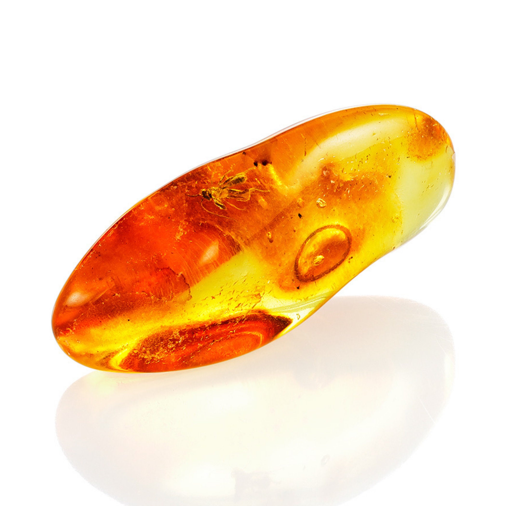 Amber with Inclusions Insect Genuine Natural Baltic Amber | Etsy