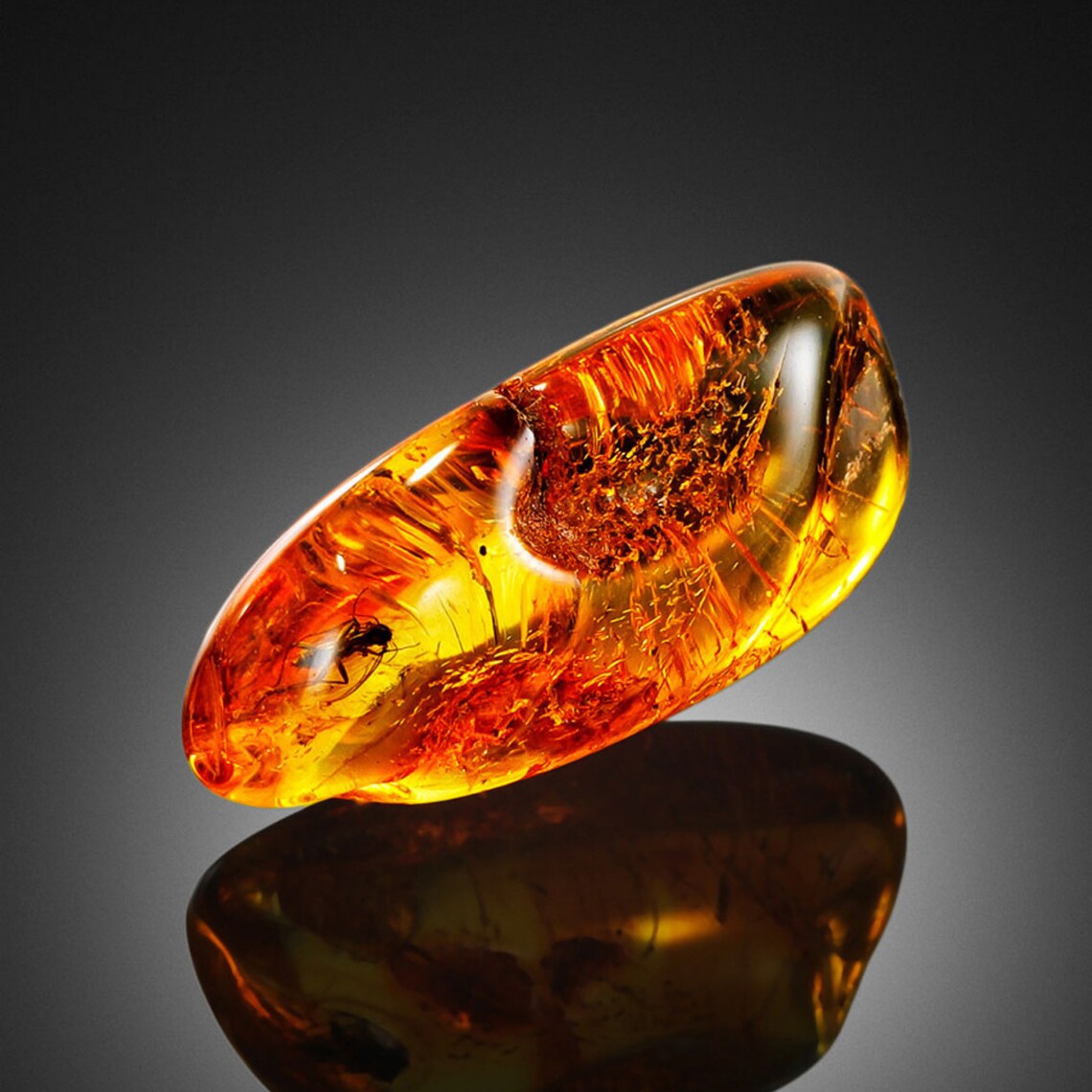 Amber with Inclusions Insect Genuine Natural Baltic Amber | Etsy