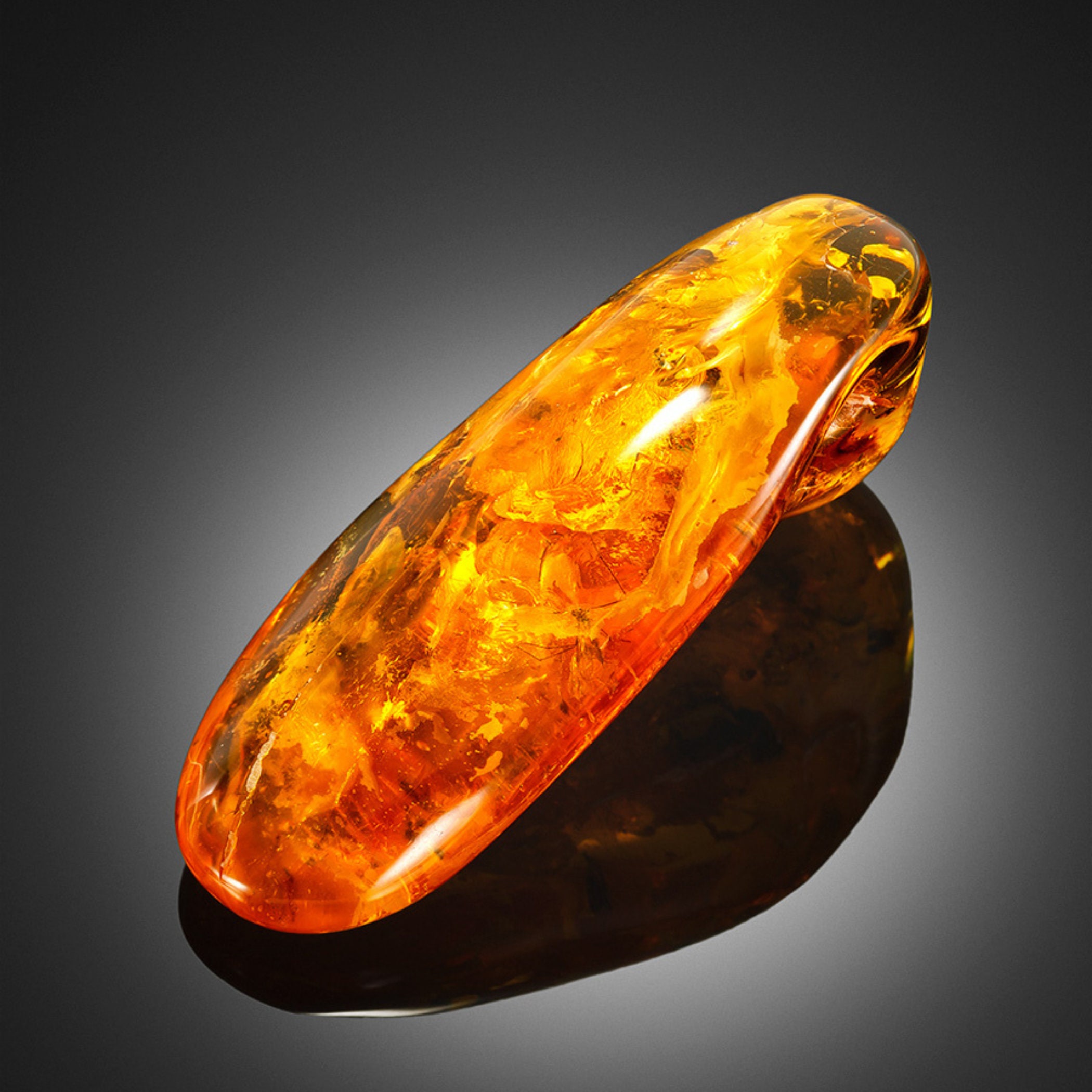 Amber with Inclusions Insect Genuine Natural Baltic Amber | Etsy