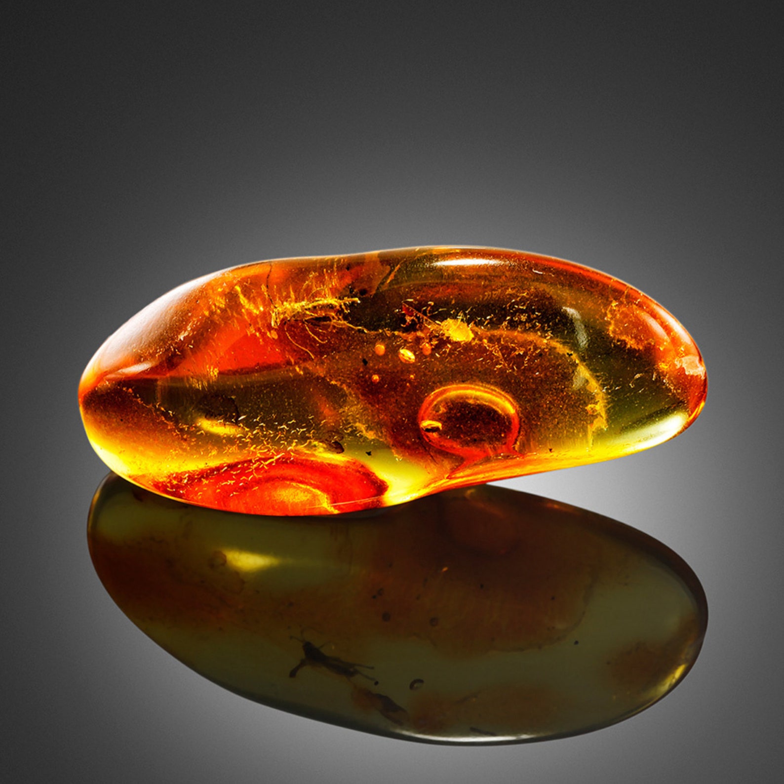 Amber with Inclusions Insect Genuine Natural Baltic Amber | Etsy