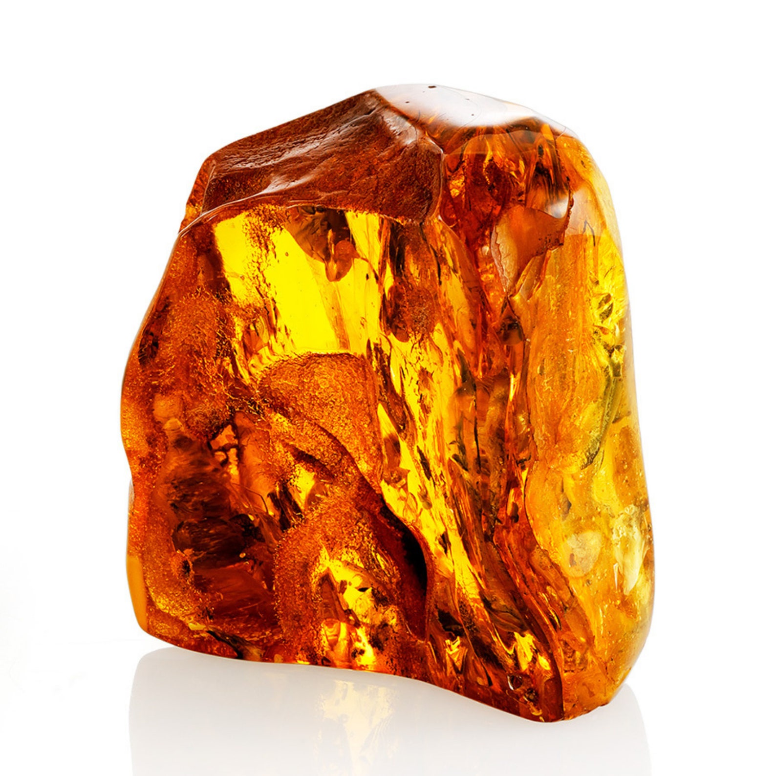 Amber with Inclusions Insect Genuine Natural Baltic Amber | Etsy