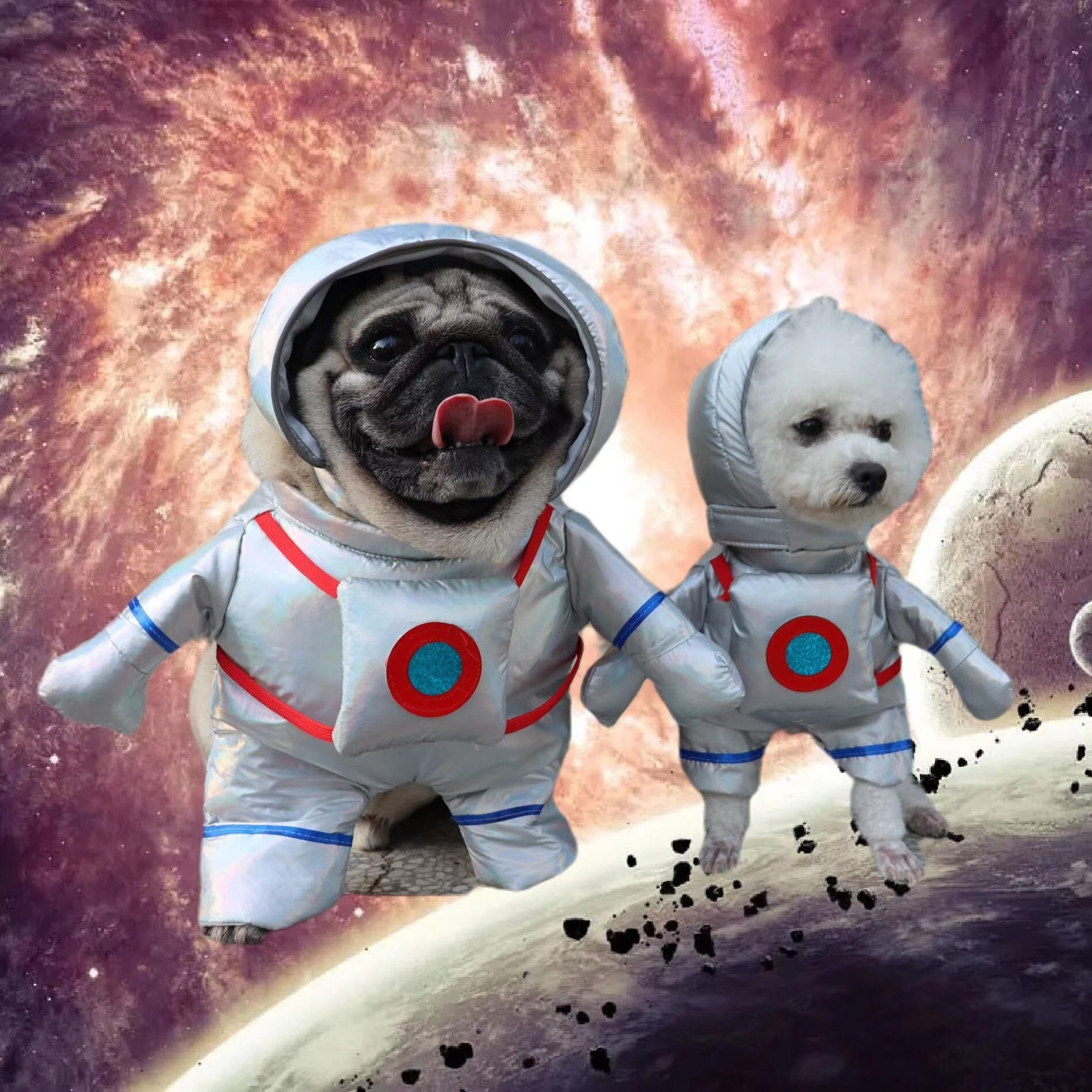 Futuristic Space Suits In Dogs