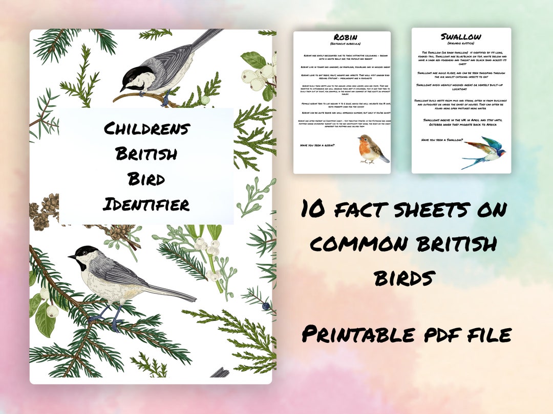 Childrens Bird Identifier, Fact Sheets for Kids, Bird Watching for ...