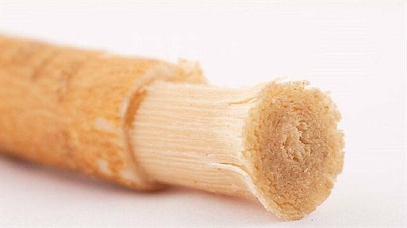 Miswak Natural Toothbrush cleaning twig chewing stick | Etsy