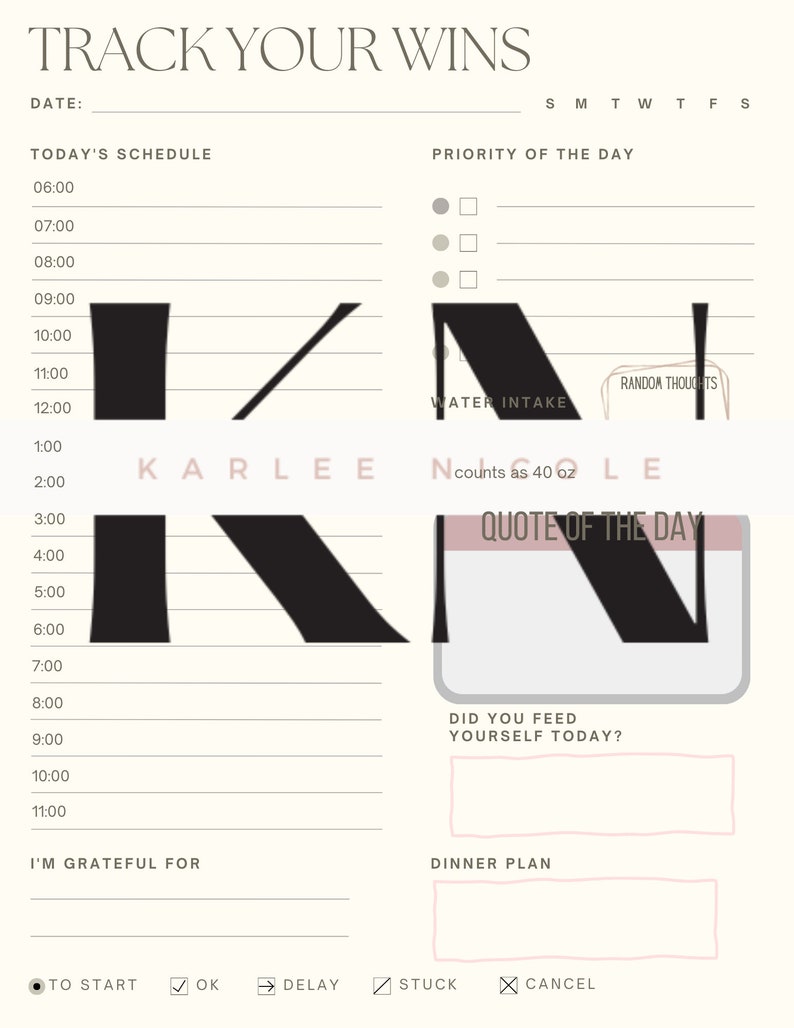 Track Your Wins - Etsy