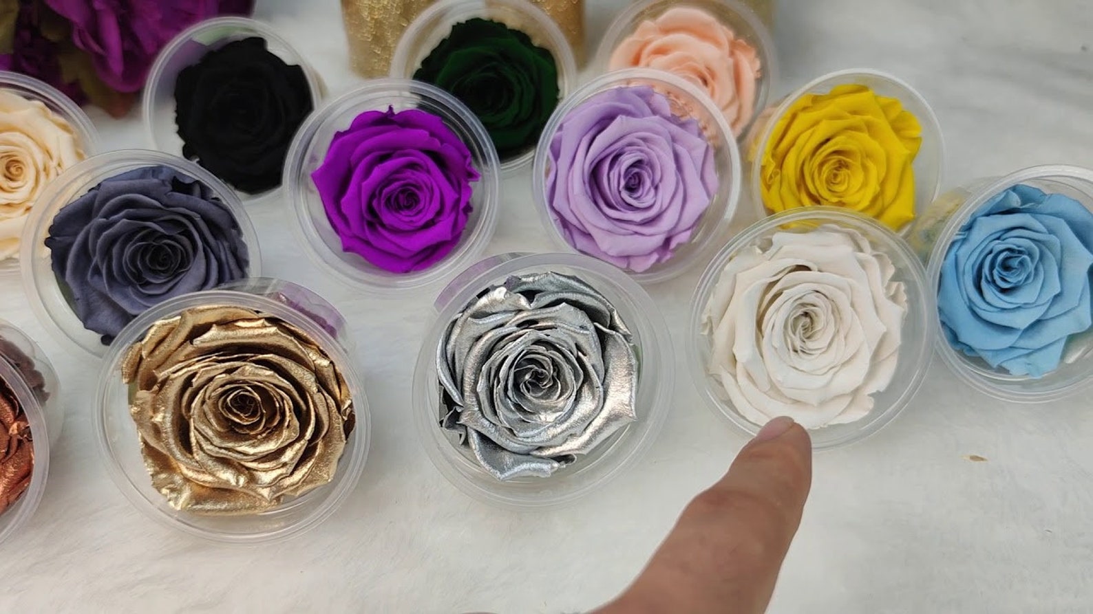 Preserved Rose in Luxe GLASS Box Glass Rose Box Eternal - Etsy