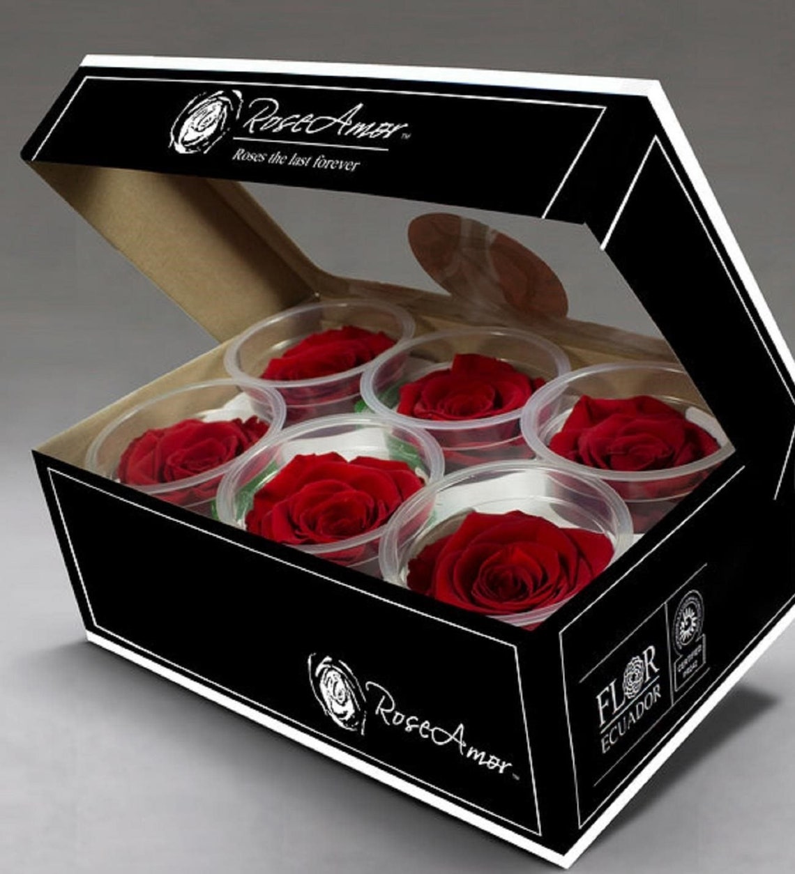 Preserved Rose in Luxe GLASS Box Glass Rose Box Eternal - Etsy