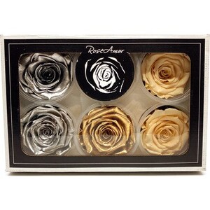Preserved Rose in Luxe GLASS Box, Glass Rose Box, Eternal Roses ...