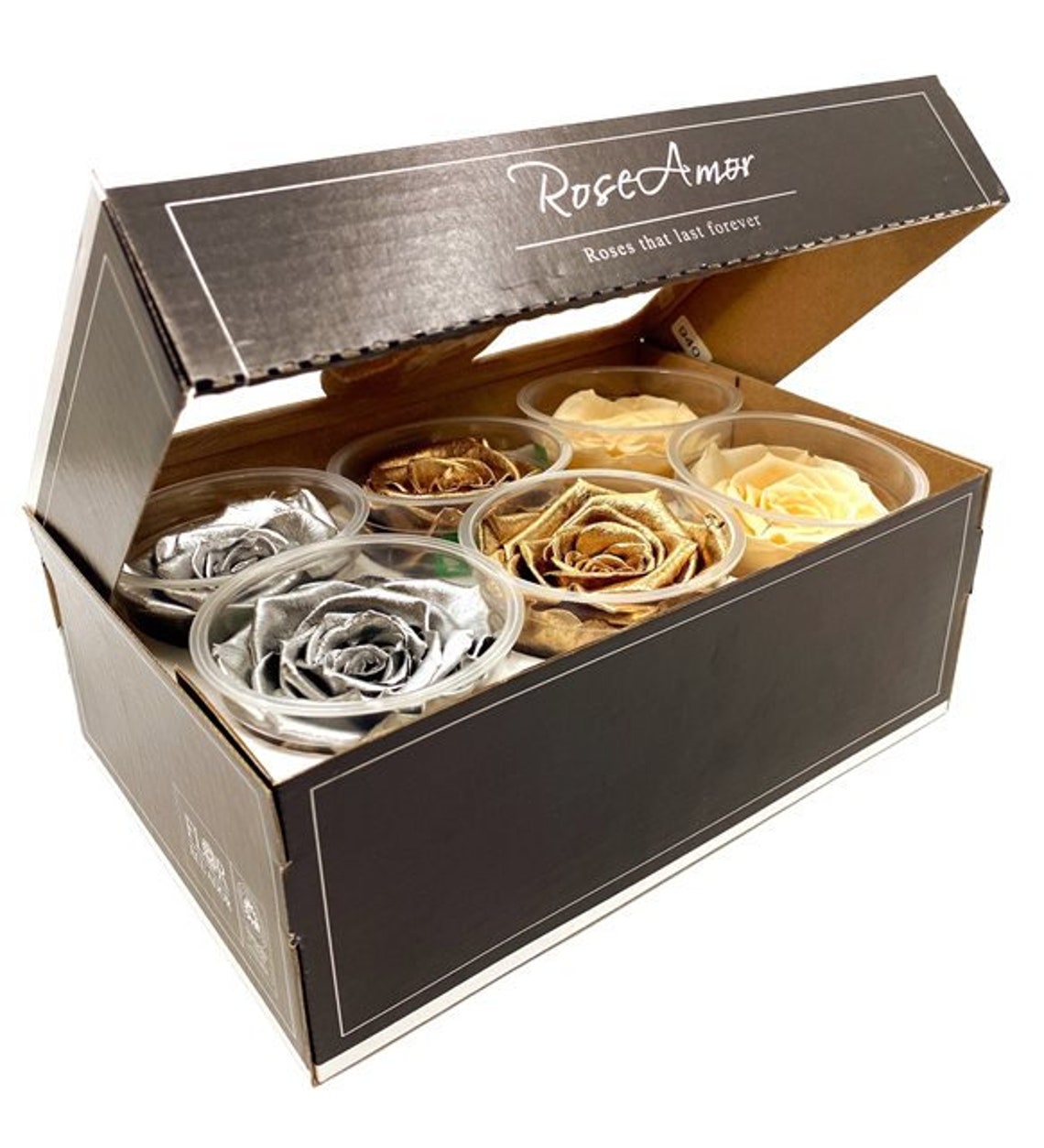 Preserved Rose in Luxe GLASS Box Glass Rose Box Eternal - Etsy