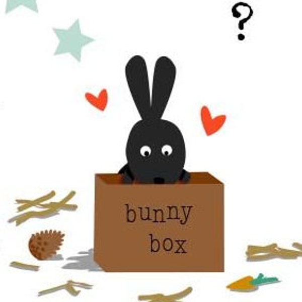 Bunny Box - Etsy