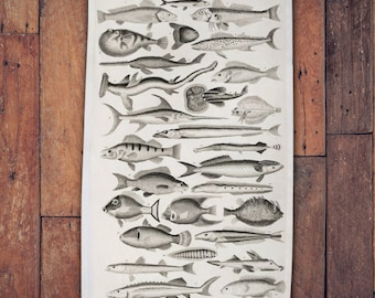Fish Kitchen Towel | Etsy