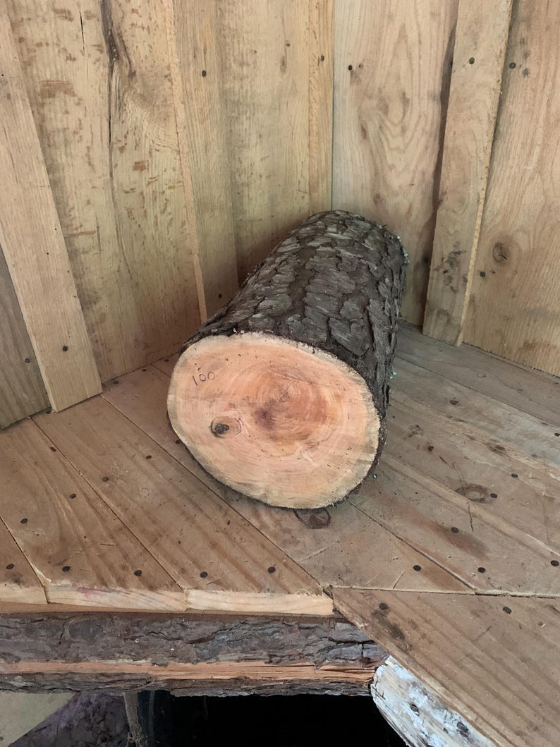 Cherry Log 100 - Etsy