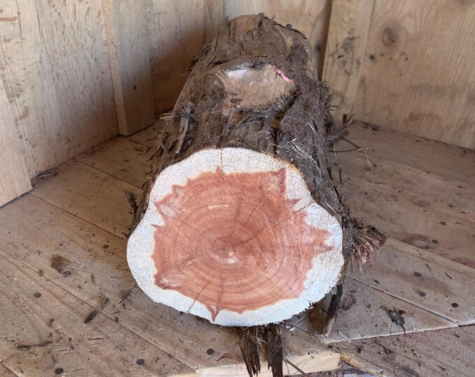 Cherry Log 100 - Etsy