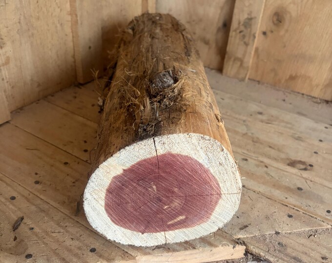 Bradford Pear Log 101 - Etsy