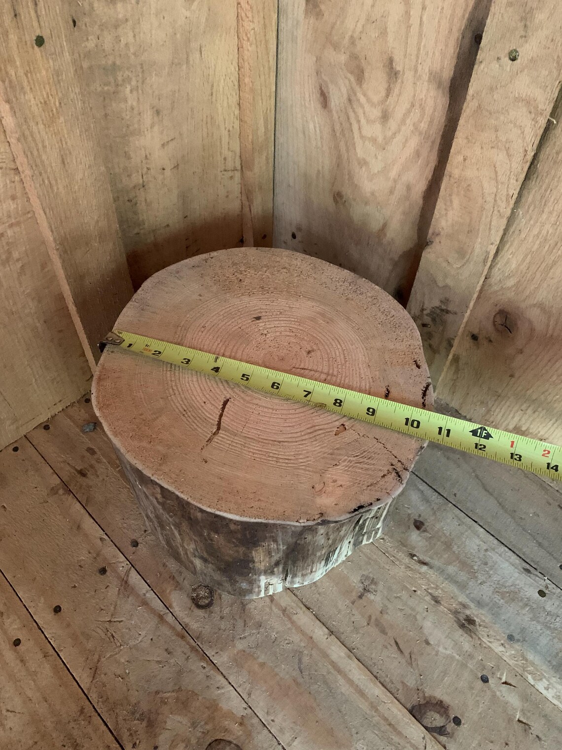 Pine Stump 307 - Etsy