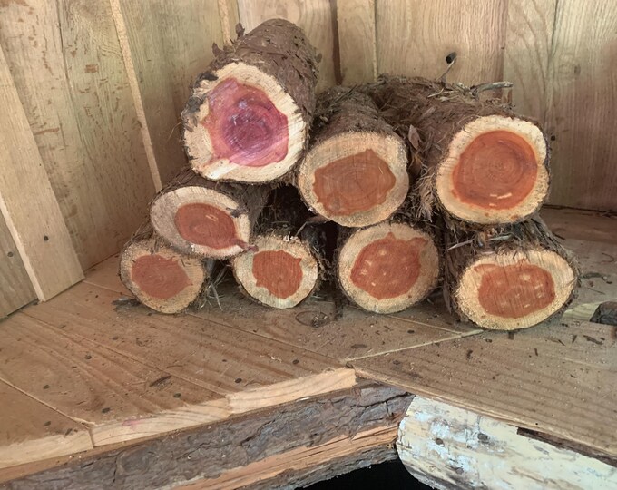 8 Red Cedar Logs - Etsy