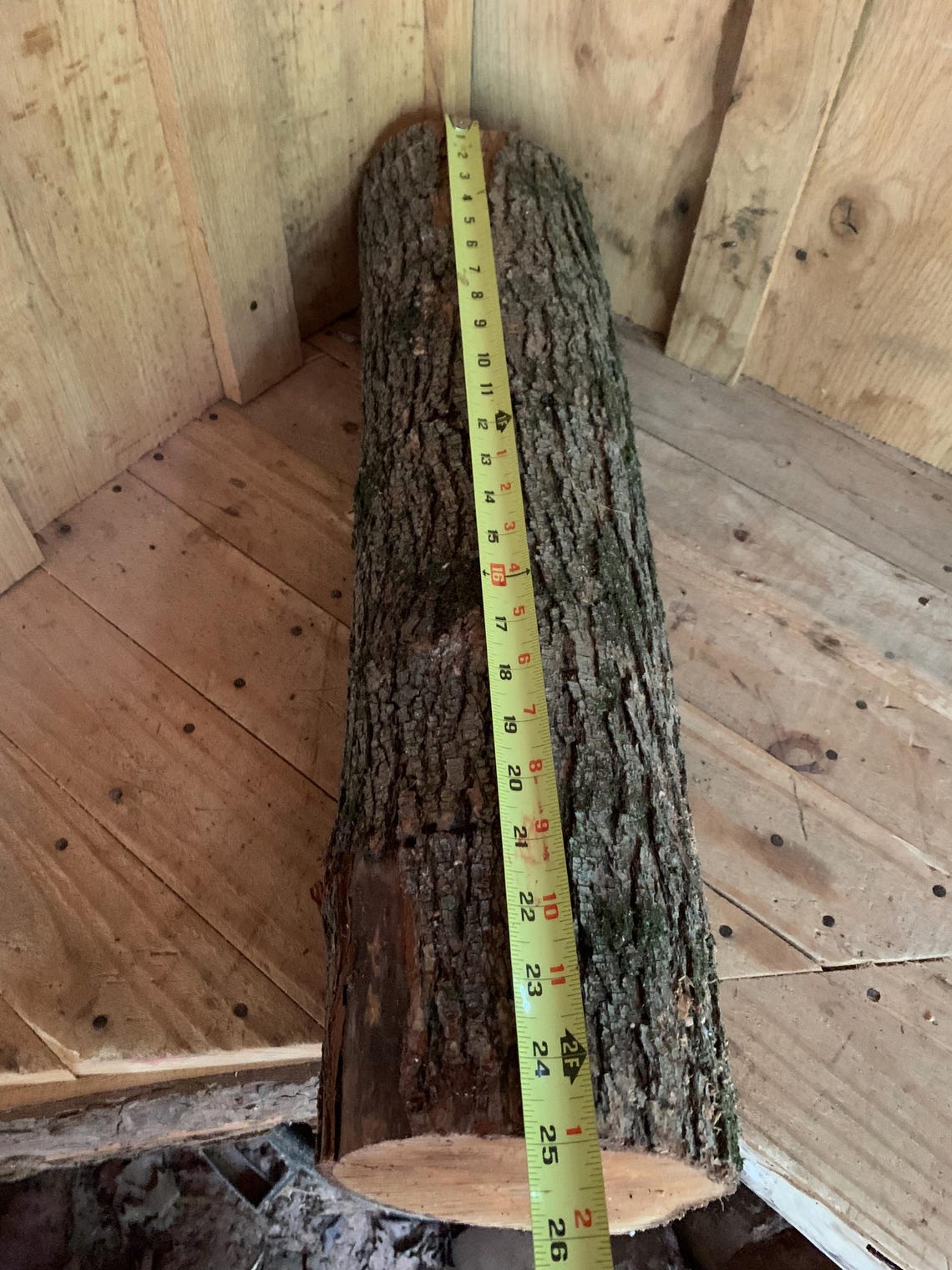 Bradford Pear Log 101 - Etsy