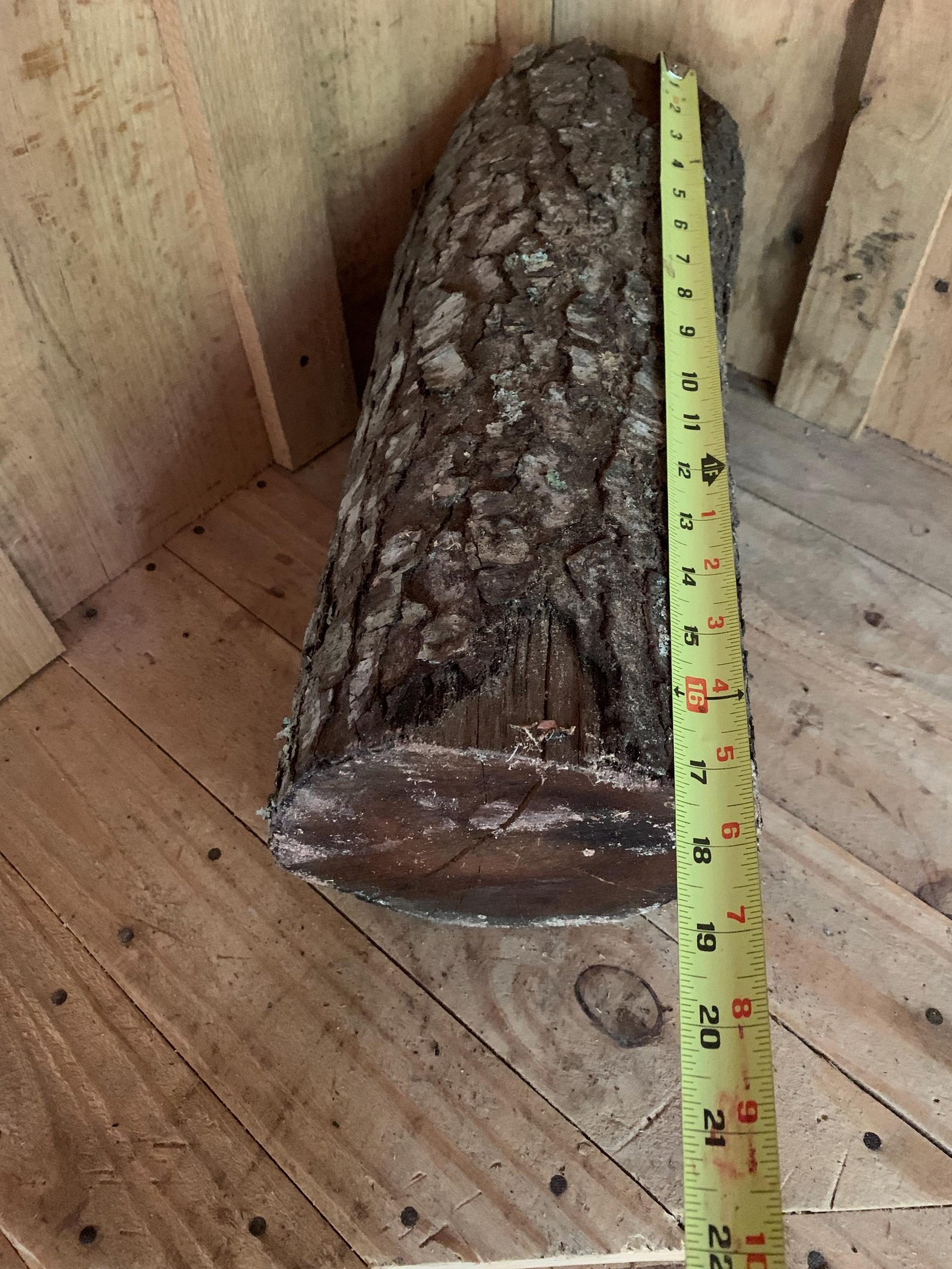 Cherry Log 100 - Etsy