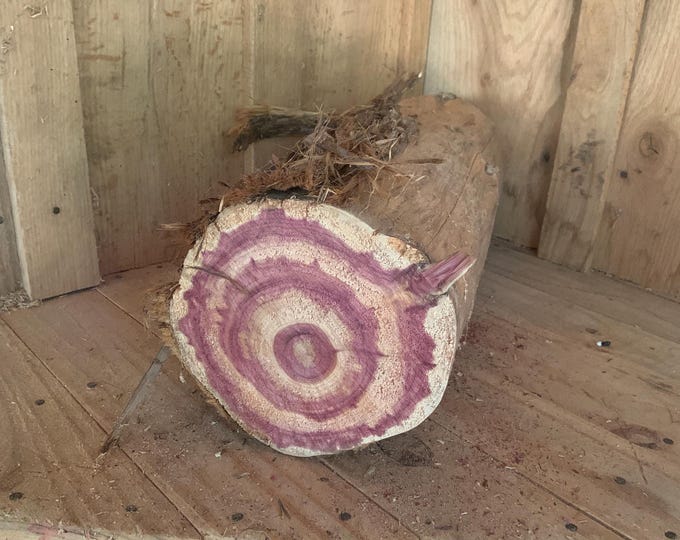 Bradford Pear Log 101 - Etsy