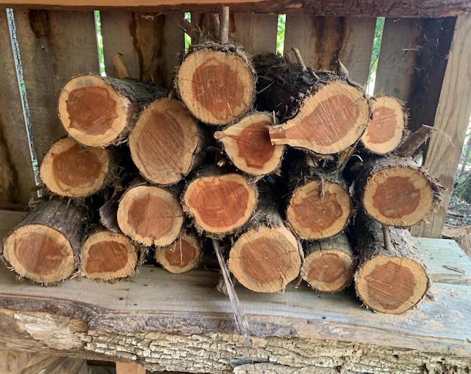 Bradford Pear Log 101 - Etsy